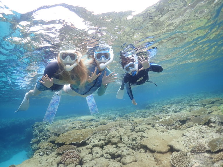 Okinawa SKIN│endolphin