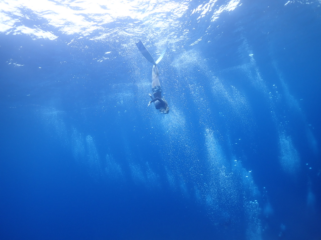 Okinawa SKIN│endolphin